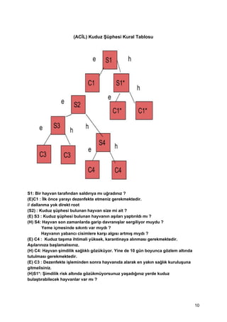 Uzman Sistemler | Kuduz Hastalığı | PDF