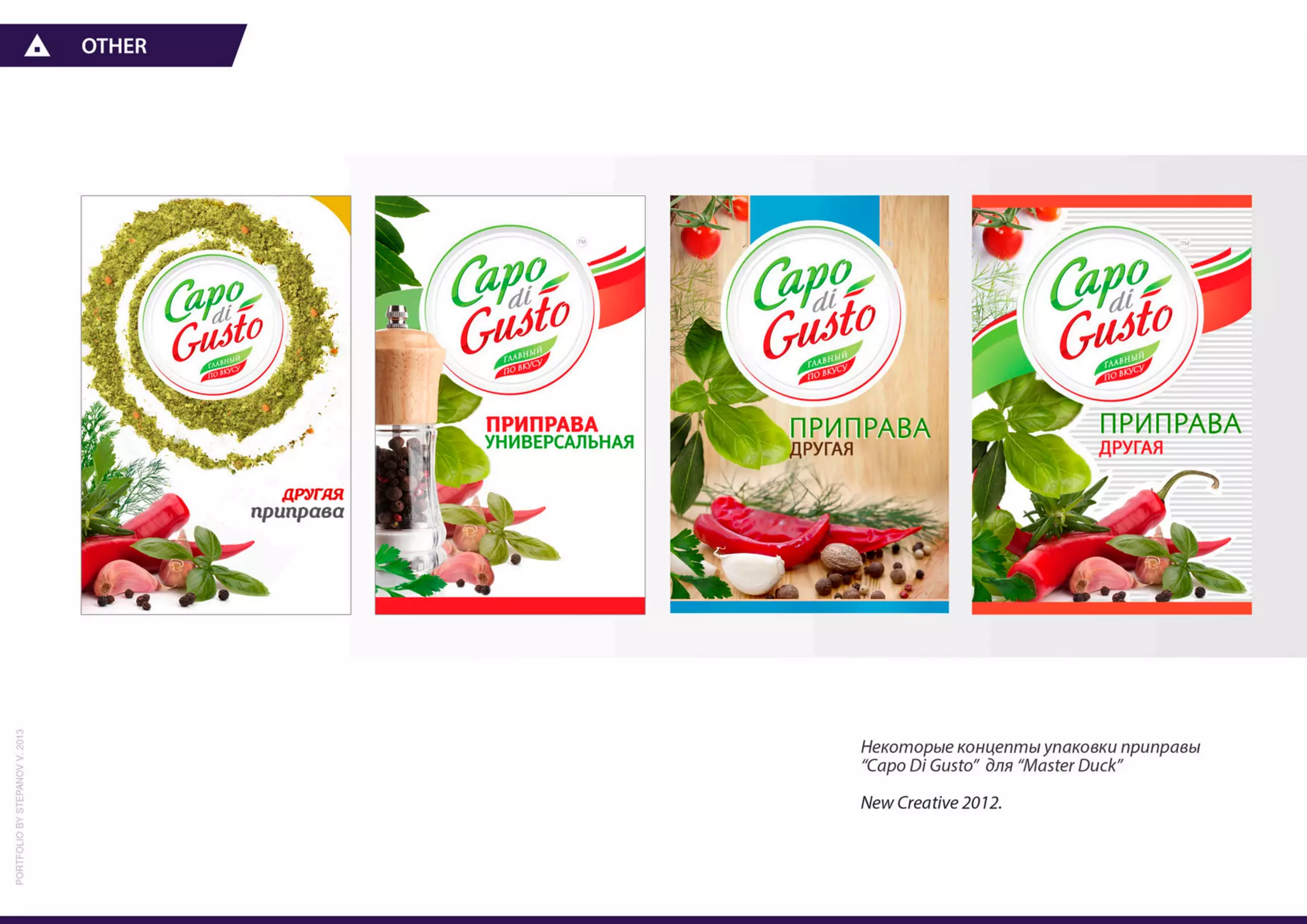 V.Stepanov Portfolio Other Works | PDF