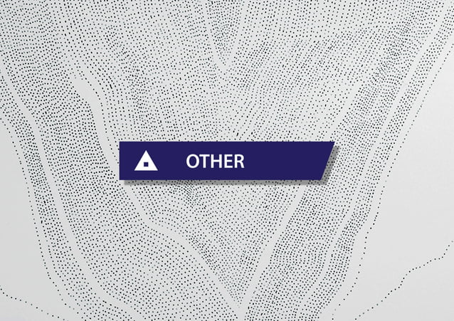 V.Stepanov Portfolio Other Works | PPT