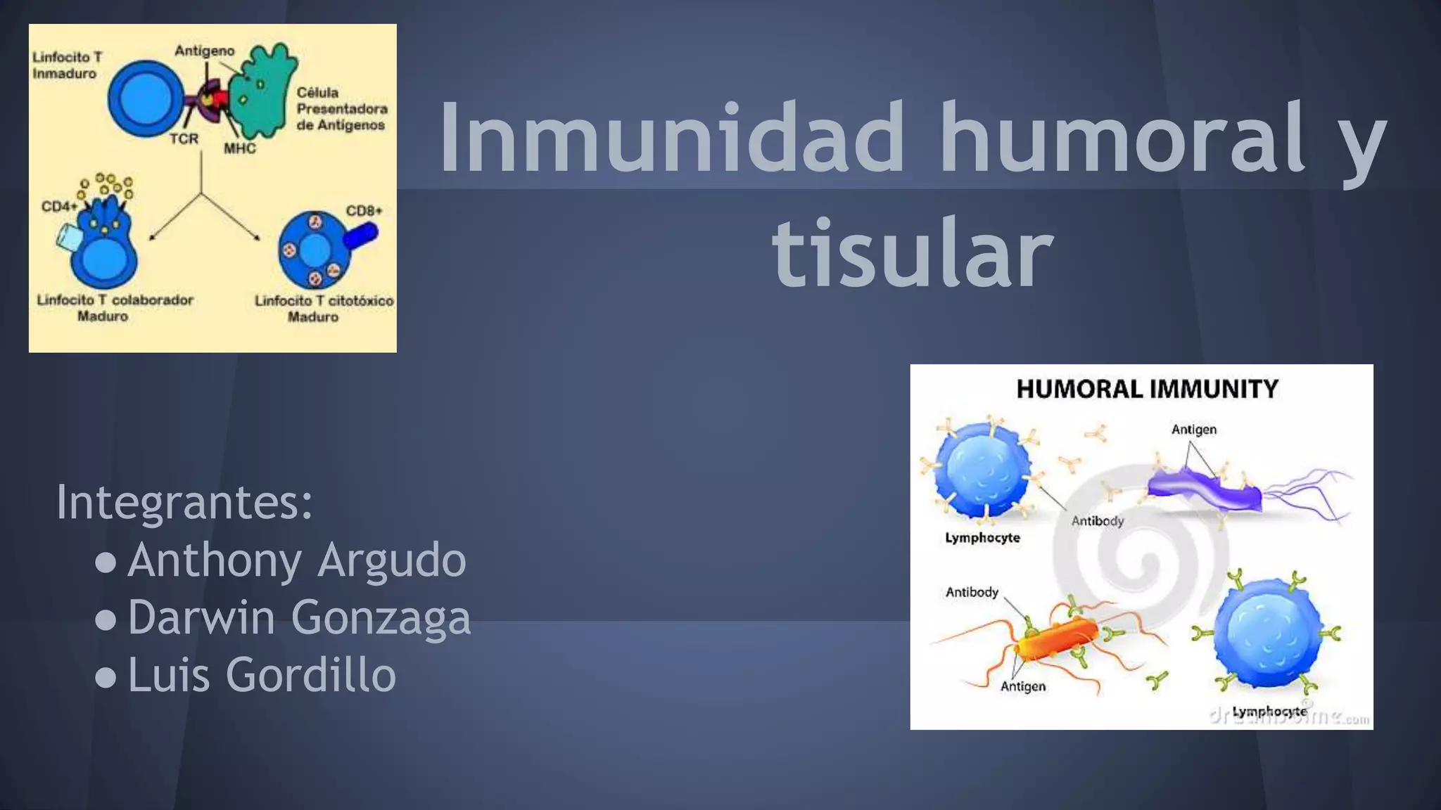 Inmunidad Humoral y Tisular | PPTX