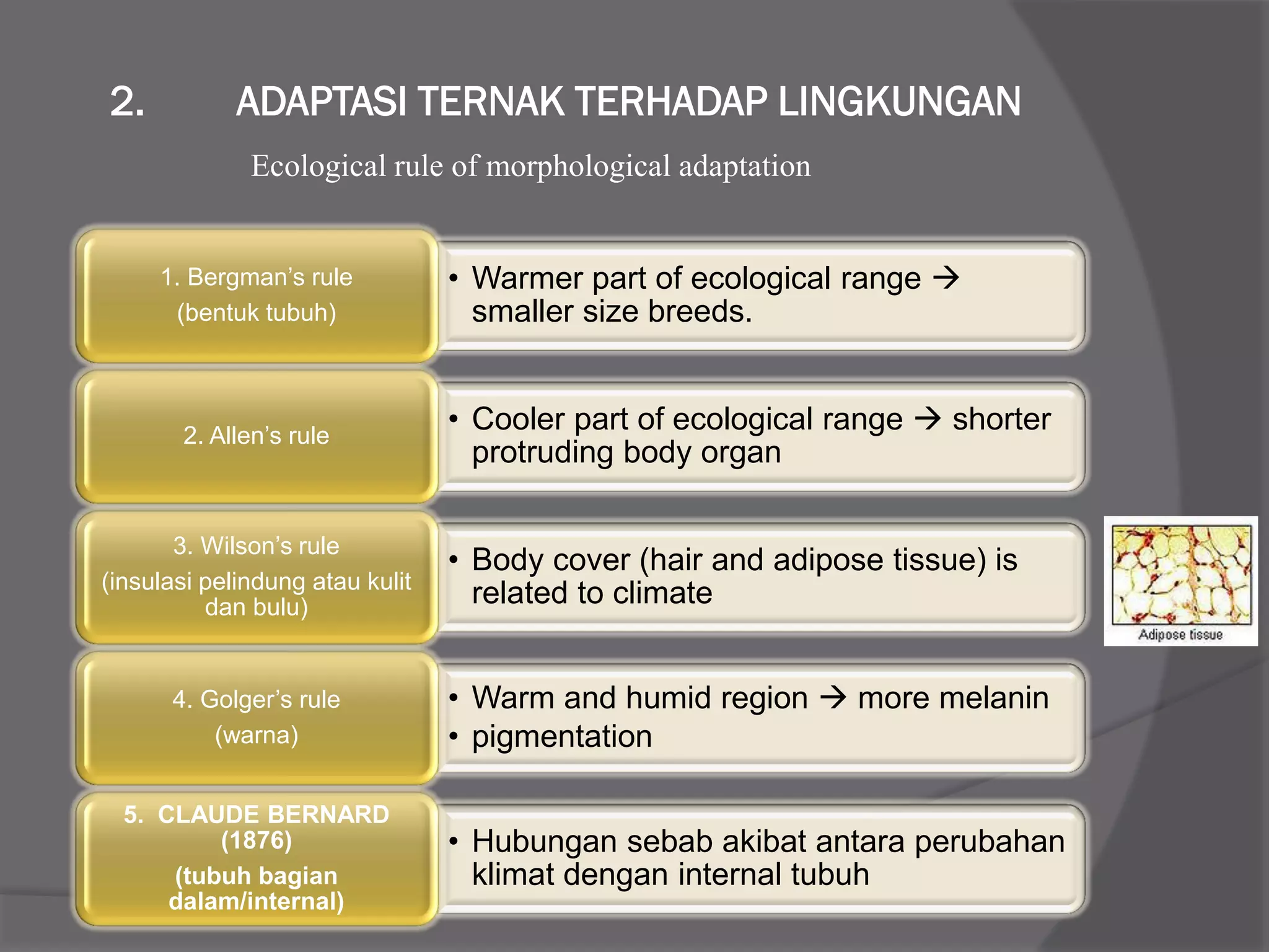 V. adaptasi lingkungan dalam peternakan | PDF