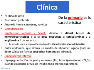 V.3. insuficiencia suprarrenal | PDF