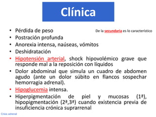 V.3. insuficiencia suprarrenal | PDF