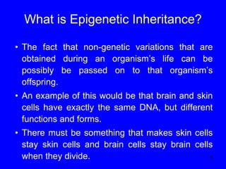 Prof. Dr. Vladimir Trajkovski - Epigenetics of ASD-10.05.2019