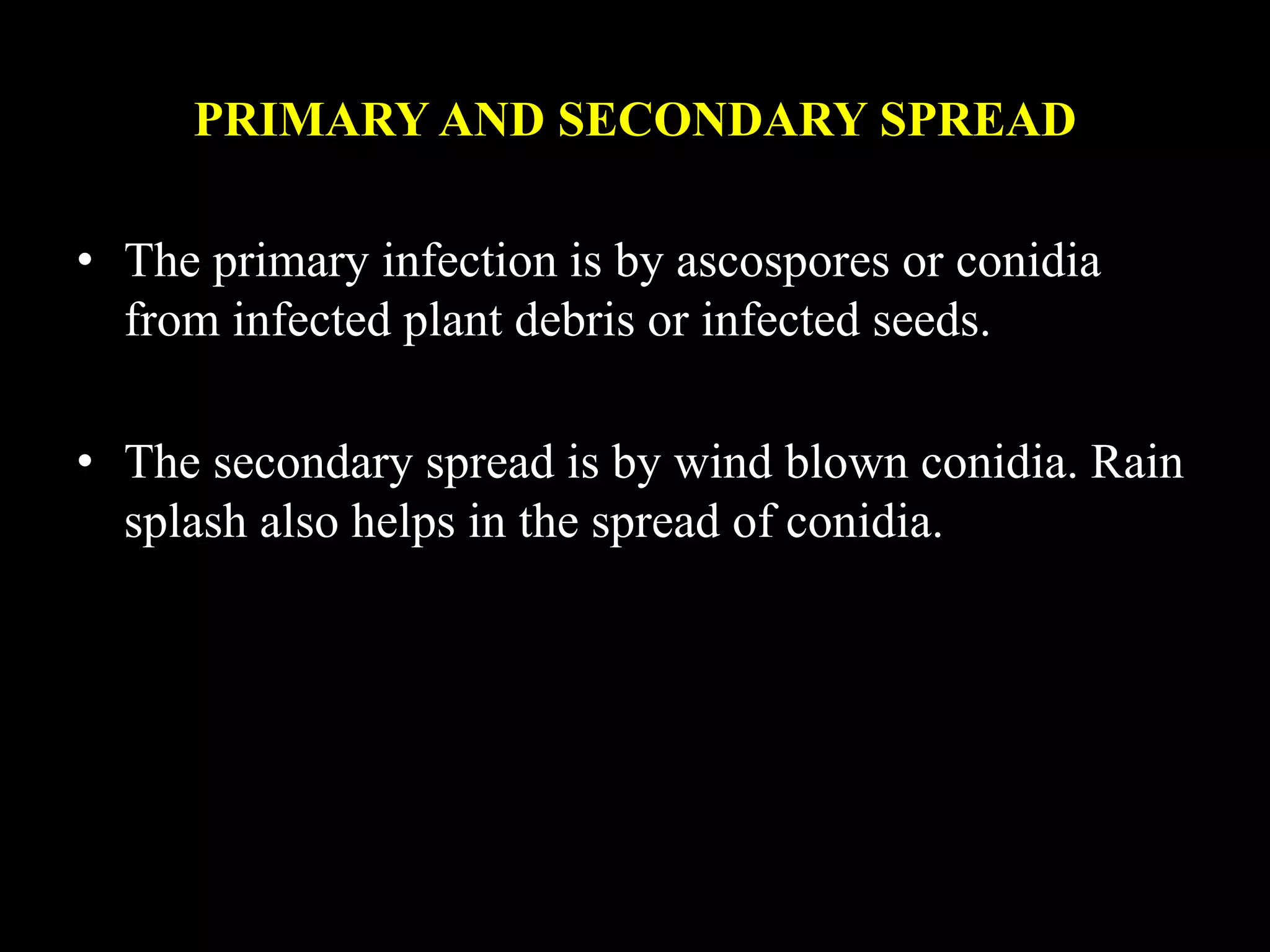 early and late leaf spot of groundnut | PPTX
