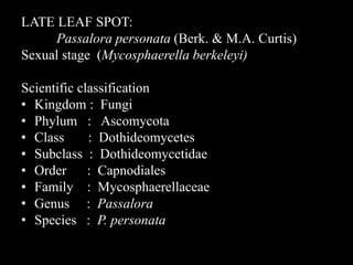 early and late leaf spot of groundnut | PPTX