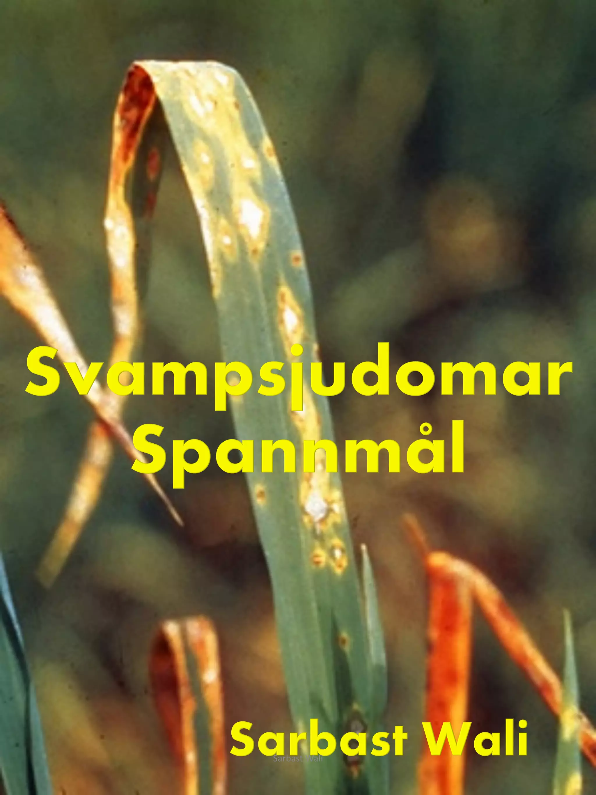 Stråsäds svampsjukdomar, Sarbast Wai | PDF