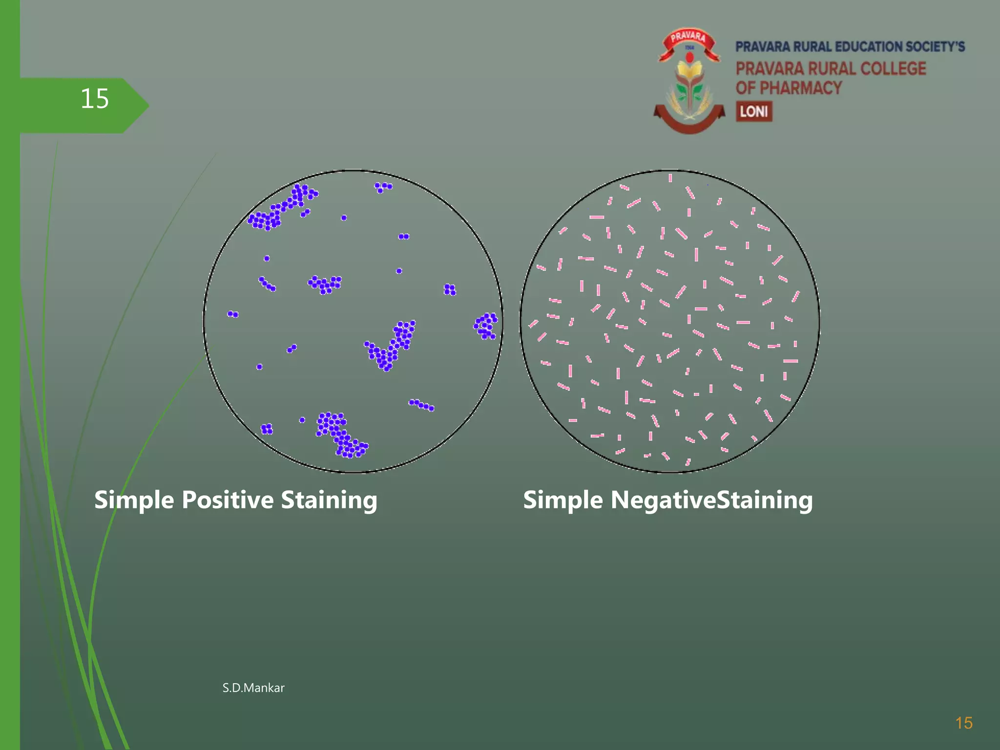 Identification of bacteria by using different staining techniques like ...