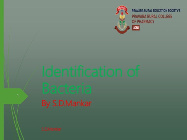 Identification of bacteria by using different staining techniques like ...