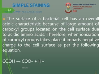 Identification of bacteria by using different staining techniques like simple staining, grams's ...