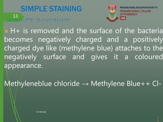 Identification of bacteria by using different staining techniques like simple staining, grams's ...