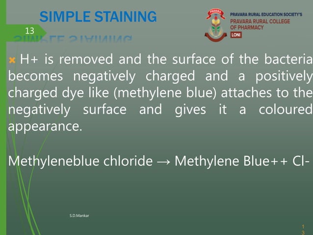 Identification of bacteria by using different staining techniques like simple staining, grams's ...