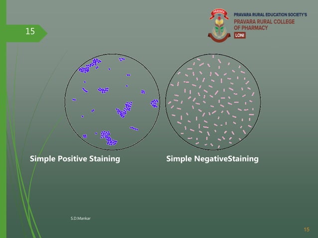 Identification of bacteria by using different staining techniques like ...