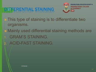 Identification of bacteria by using different staining techniques like simple staining, grams's ...
