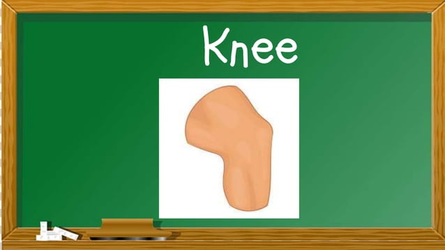 Book 1 Lesson 2 | PPT