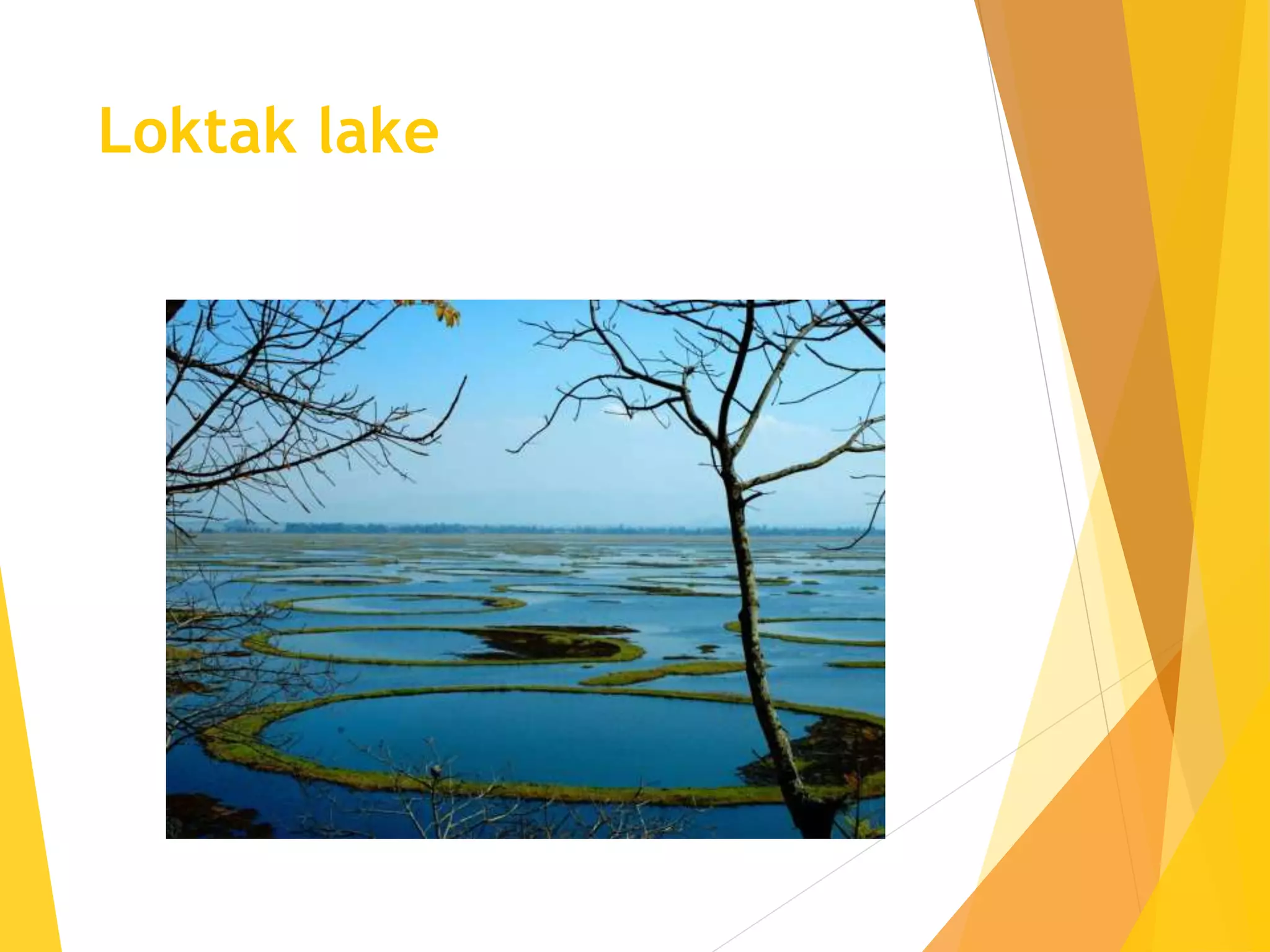 Chapter : DRAINAGE | PPTX