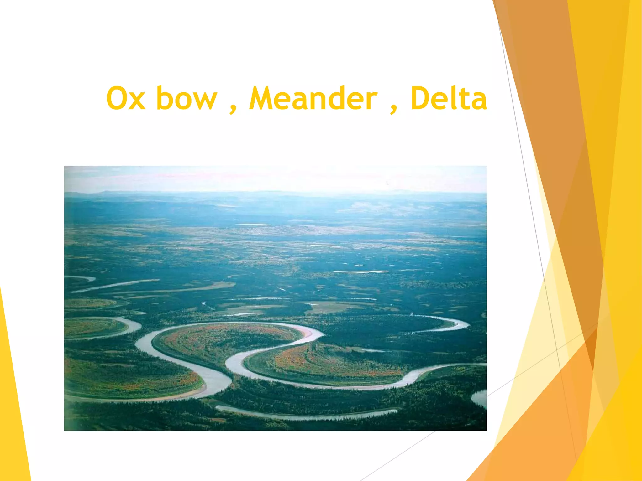 Chapter : DRAINAGE | PPTX