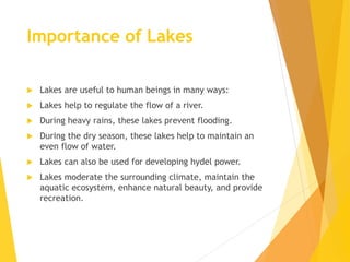 Chapter : DRAINAGE | PPTX