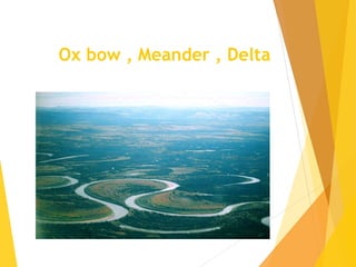 Chapter : DRAINAGE | PPTX