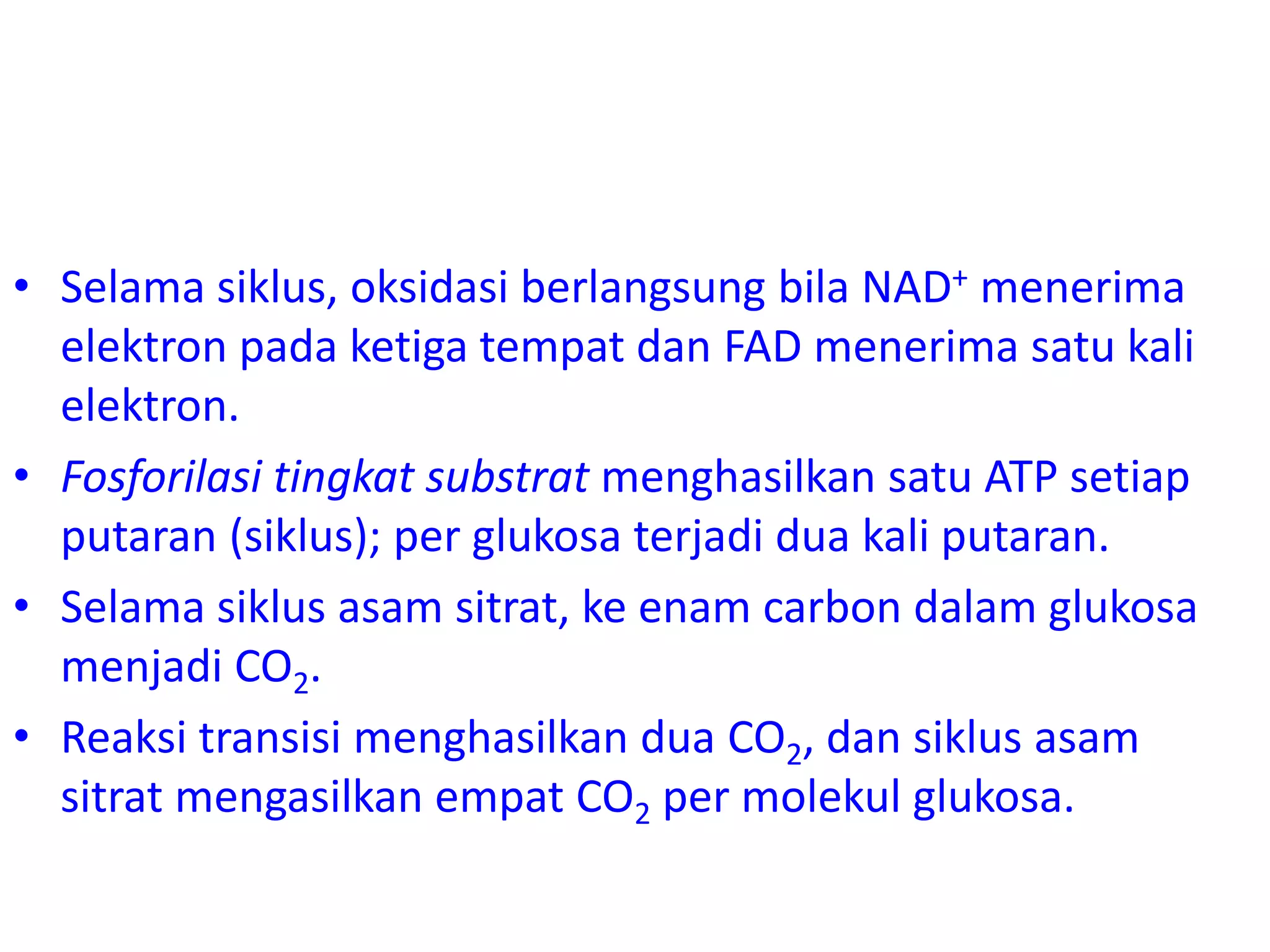V. Metabolisme Karbohidrat-1.ppt