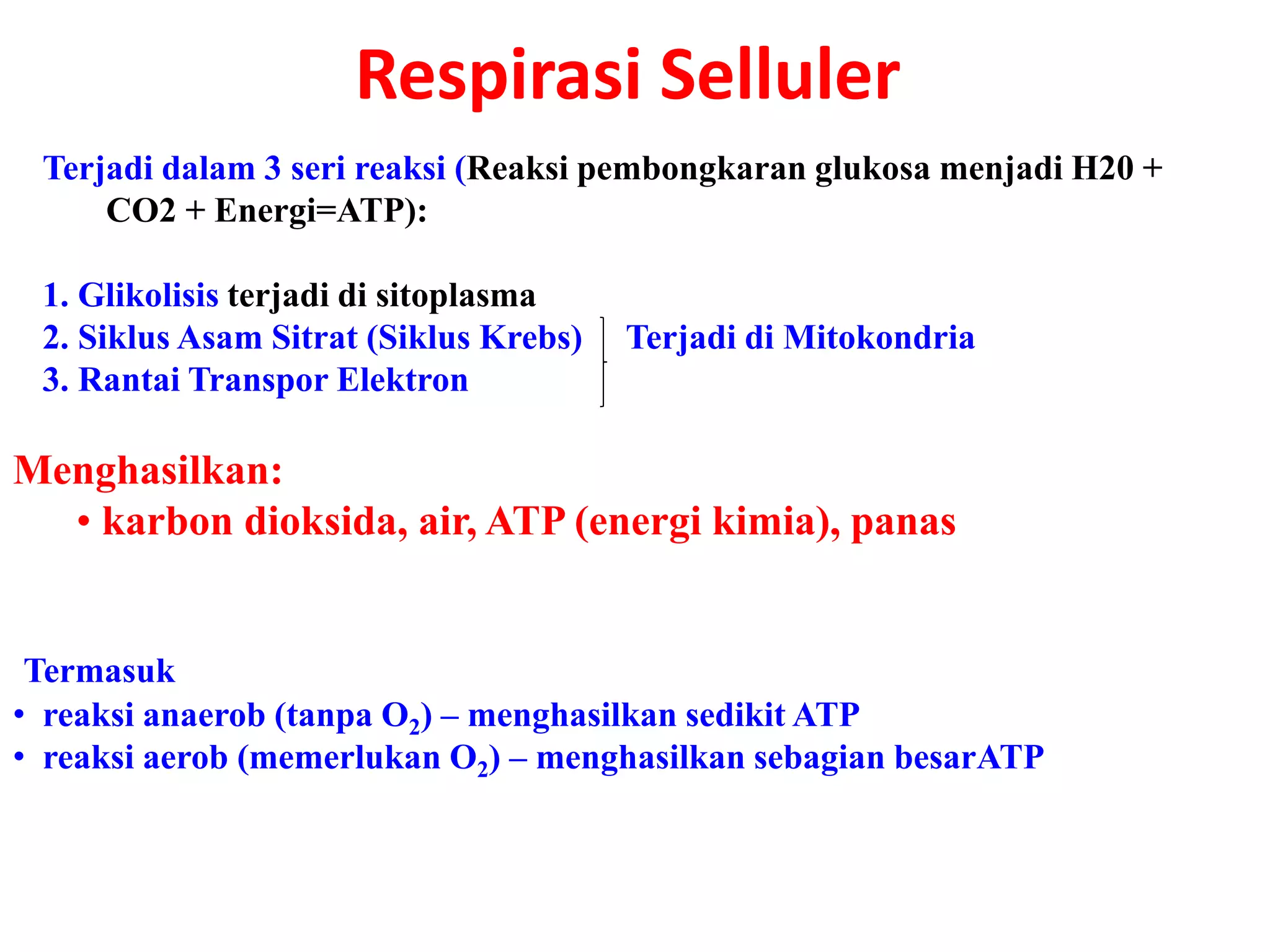 V. Metabolisme Karbohidrat-1.ppt