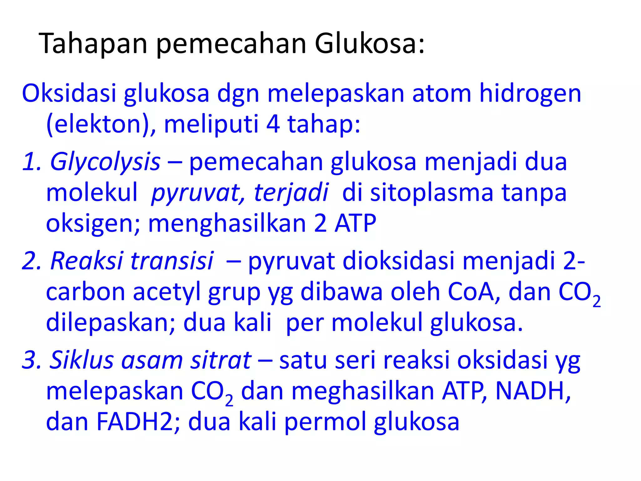 V. Metabolisme Karbohidrat-1.ppt