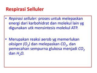 V. Metabolisme Karbohidrat-1.ppt