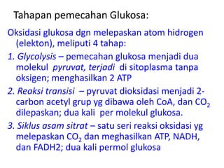 V. Metabolisme Karbohidrat-1.ppt