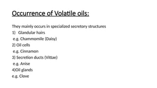 Volatile Oils and their their sources and uses. | PPTX