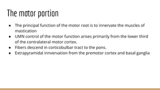 Trigeminal nerve anatomy & clinical correlation | PDF