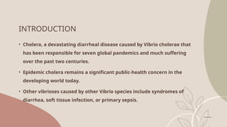 Vibrio Cholerae, microbiology, management | PPTX