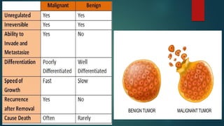 TUMORS and Types of tumors, General biology of tumors, Spread of ...