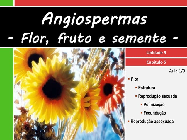 V.5 Angiospermas - flor, fruto e semente | PPT