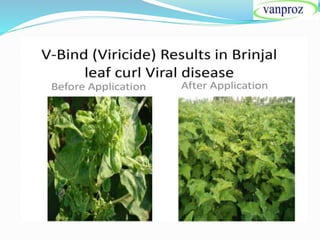 virucide potential | PPT