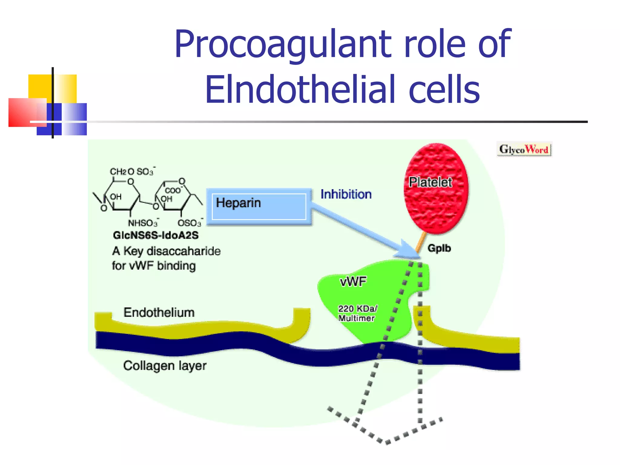 V. Hyper Coagulation State | PPT