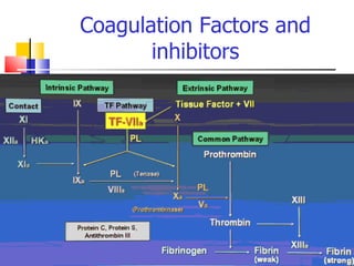 V. Hyper Coagulation State | PPT