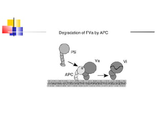 V. Hyper Coagulation State | PPT