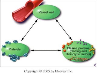 V. Hyper Coagulation State | PPT