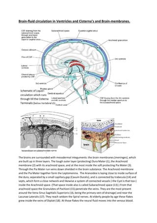 V introduction anatomy head and neck for background info | PDF