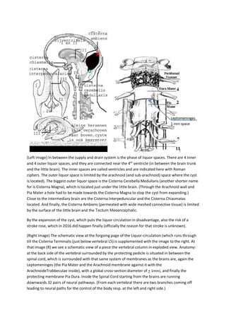 V introduction anatomy head and neck for background info | PDF