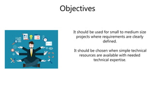 V shape process model | PPT