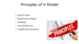 V shape process model | PPT