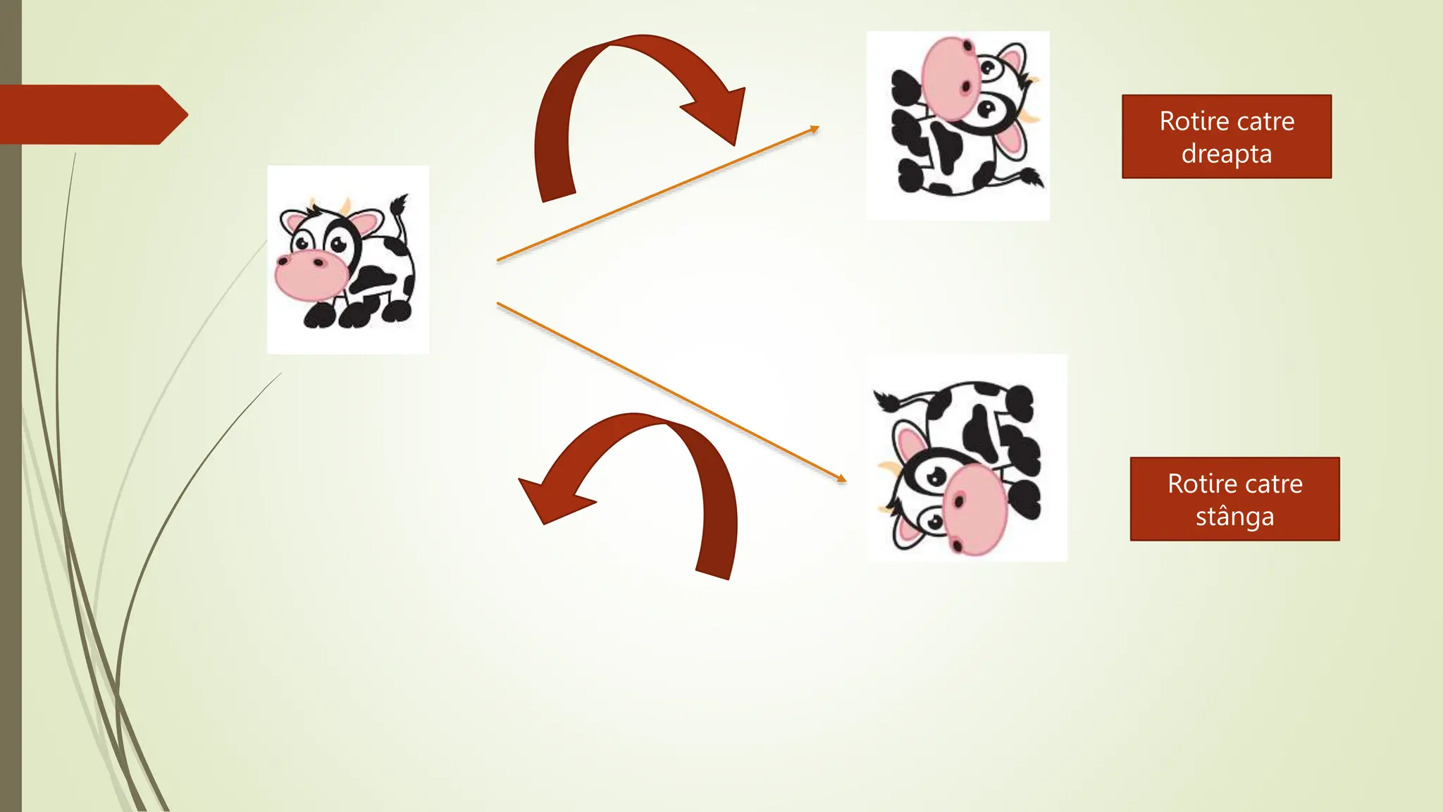 V - Trunchierea, rotirea și panoramarea unei imagini.pptx