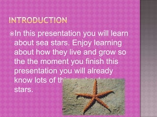 starfish | PPTX