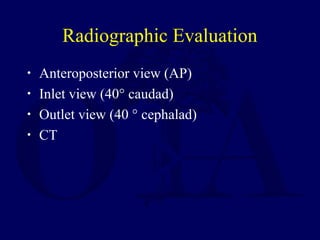 V01 anatomy class_pelvis | PPT