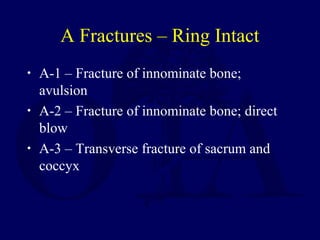 V01 anatomy class_pelvis | PPT