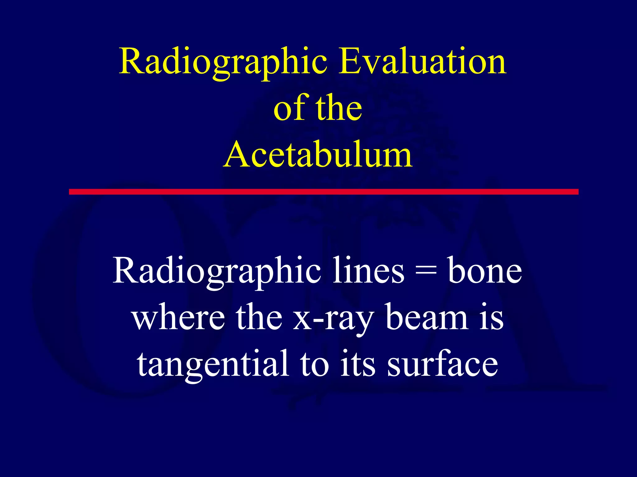 V04 anatomy class_acetab | PPT