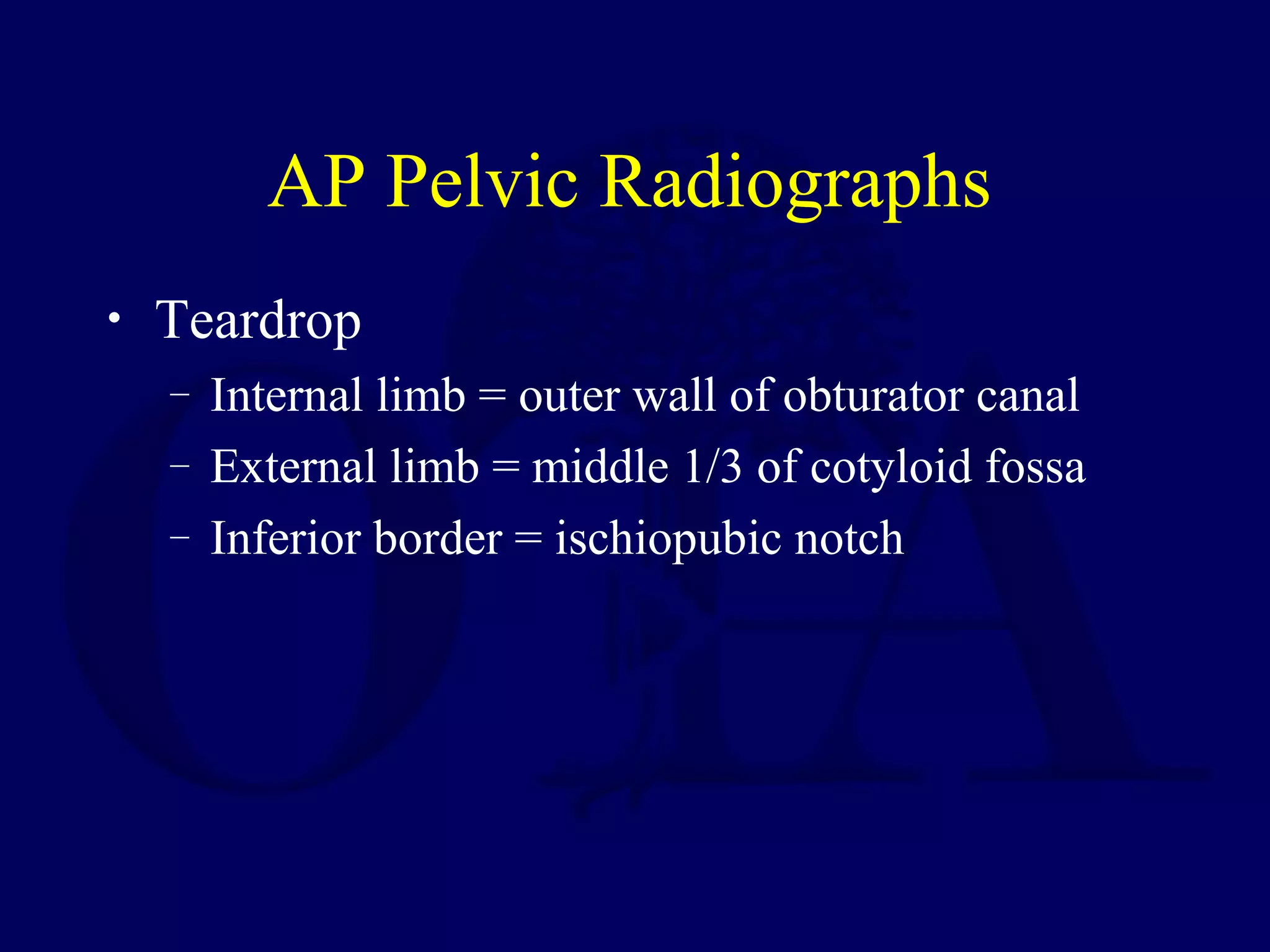 V04 anatomy class_acetab | PPT