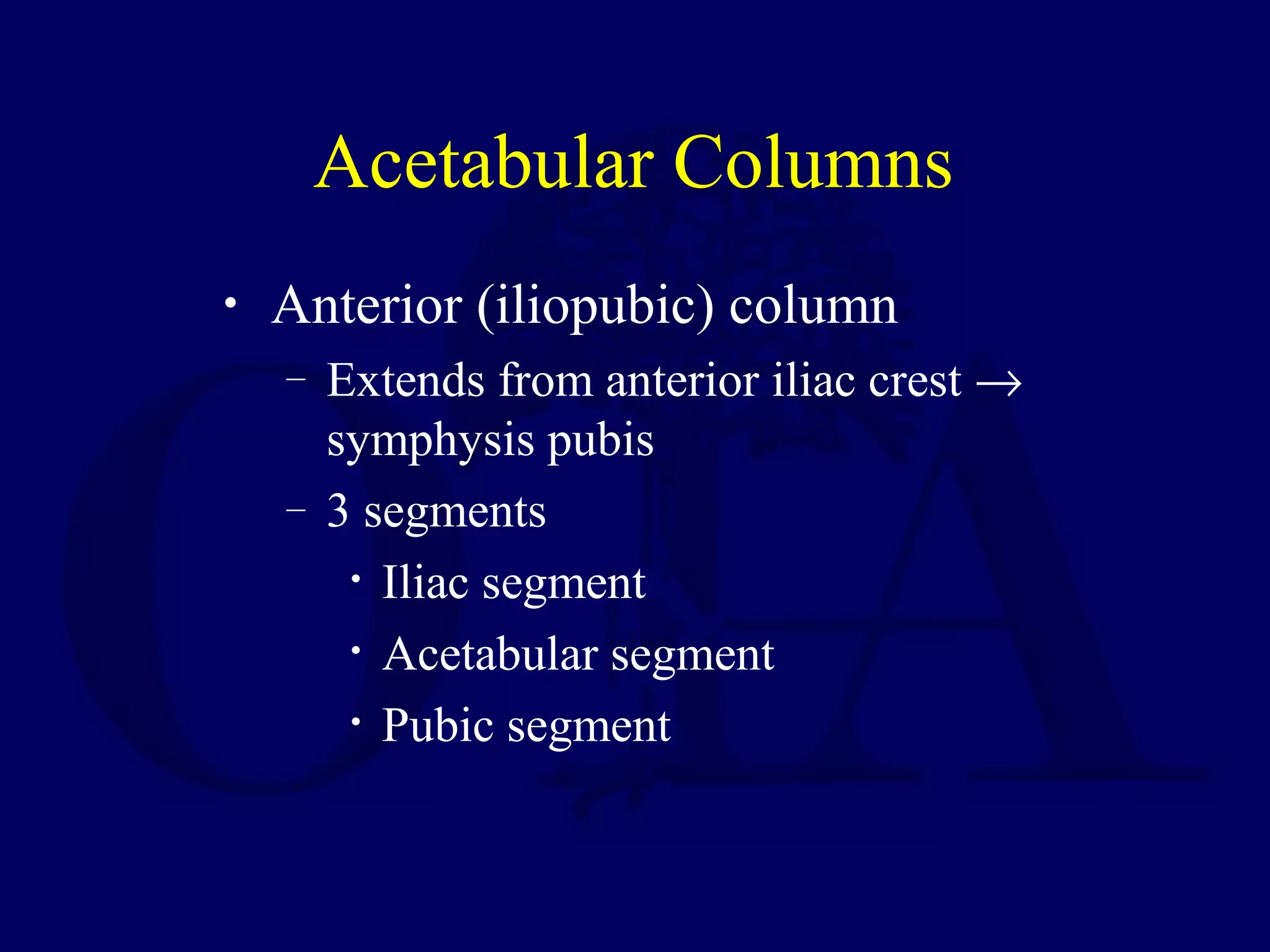 V04 anatomy class_acetab | PPT