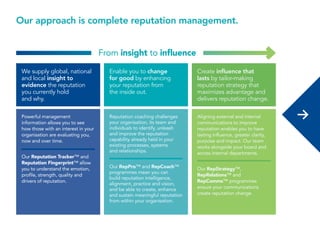 Reputation Consultancy: Taking care of the future | PDF